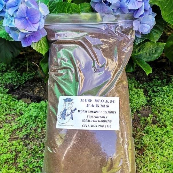 Worm farms | Gardening Gone Wild