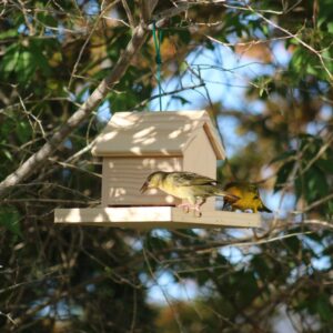 Wild-bird Seed house from JessB | Gardening Gone Wild